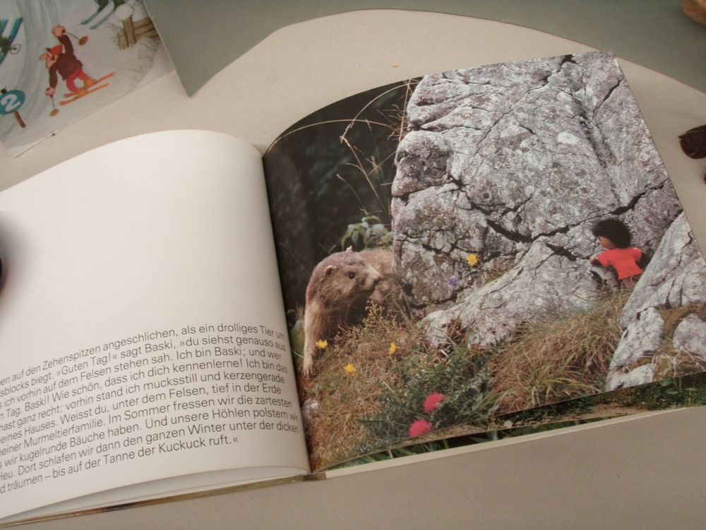 Baski Buch "Baski auf der Alp" (Gebraucht) in Rohrbach für CHF 5 – mit ...