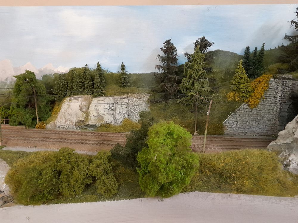 schönes Diorama H0 (Gebraucht) in Eptingen für CHF 162 – nur Abholung ...