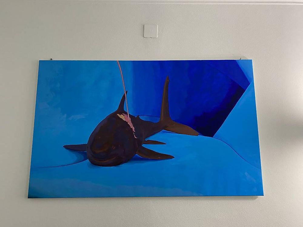 Bild: Schoko-Haifisch (Gebraucht) in Basel für CHF 8000 – nur Abholung ...