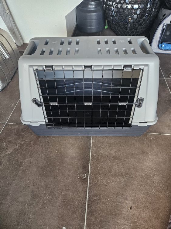 Hundetransportbox (Neu (gemäss Beschreibung)) in Nottwil für CHF 50 – nur Abholung auf Ricardo ...