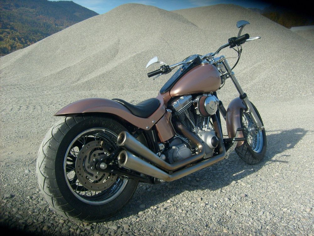 HARLEY-DAVIDSON FXST Softail Standard Custom Bike (Gebraucht) in ...