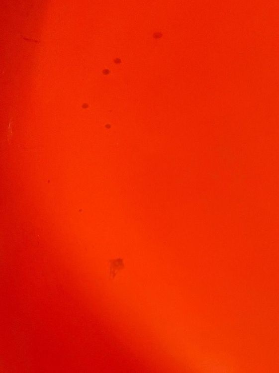 Panton Chair Vitra rot, (Esszimmer-)Stuhl (Gebraucht) in Bülach für CHF ...