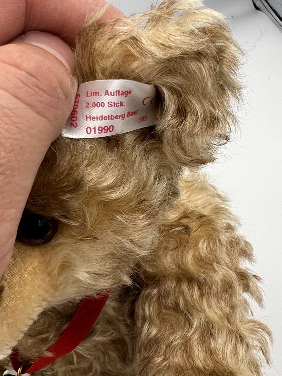 Steiff Teddy „Heidelberg Du Feine“ (Neu (gemäss Beschreibung)) in ...