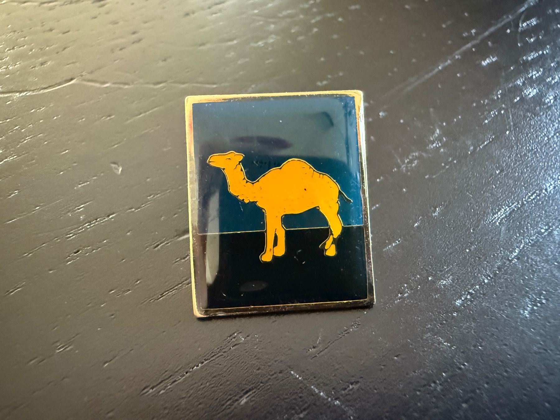 Camel Pin/Anstecker - Seltenes Sammlerstück aus der Schweiz (Gebraucht ...