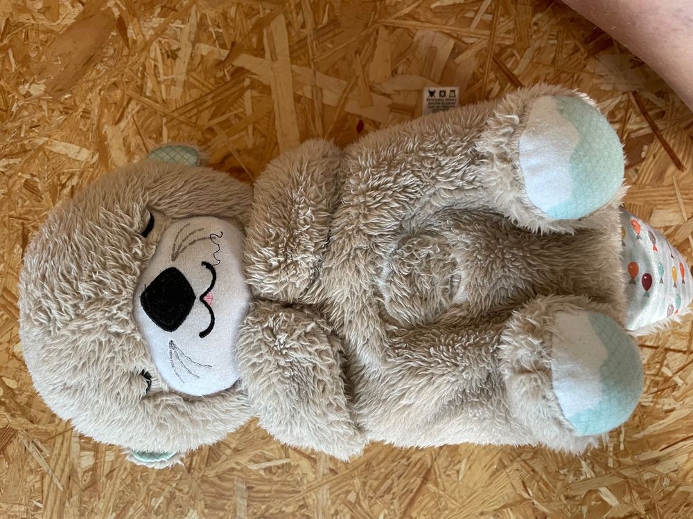 Fisherprice Schlummer-Otter (Gebraucht) in Diepoldsau für CHF 9 – mit ...