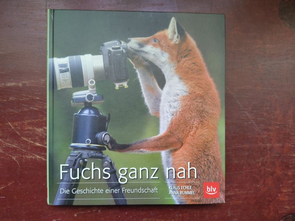 Fuchs ganz nah: Die Geschichte einer Freundschaft - Buch ... (Neu und ...