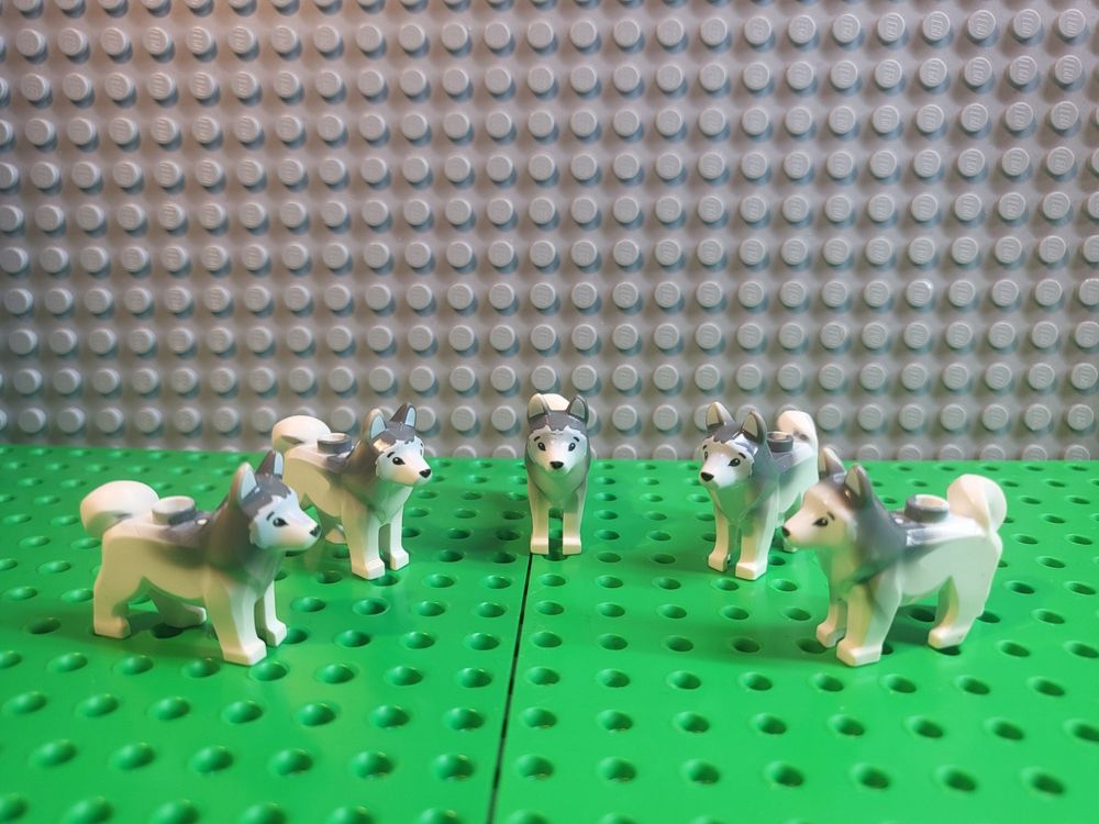 5 Lego - Tiere Hunde, Husky, zu Minifiguren versch. Sets (Gebraucht) in ...