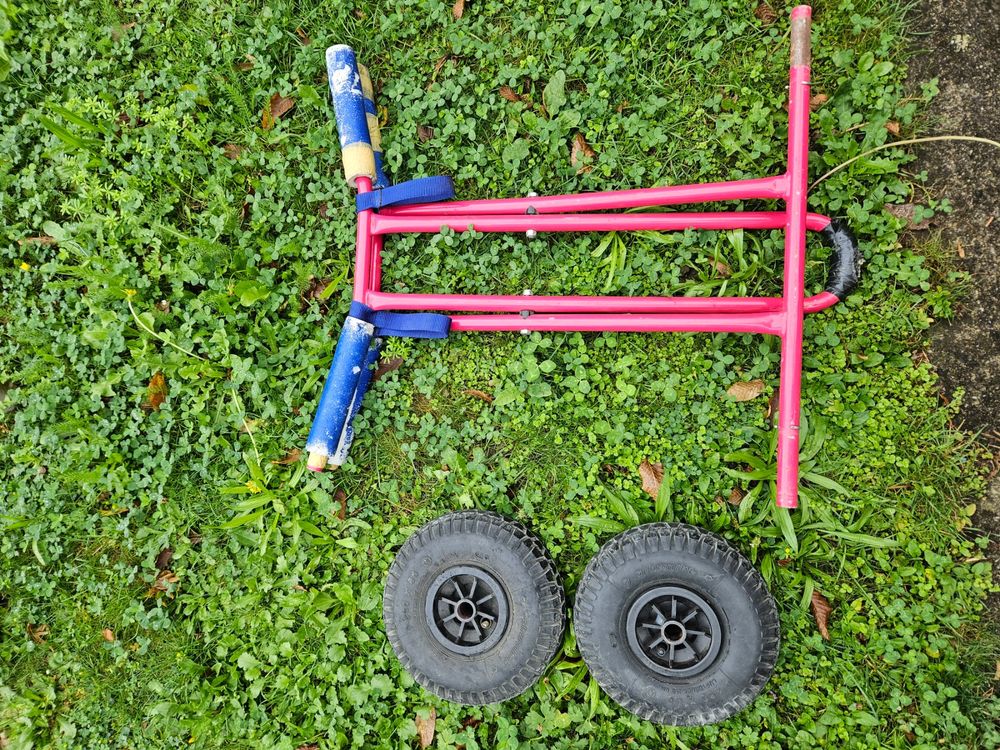 Surf und stand up paddle Trolley (Gebraucht) in Buchs AG für CHF 1 ...