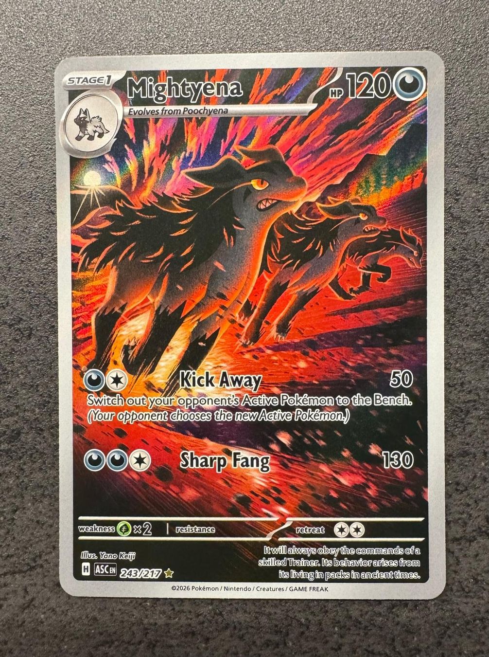 Mightyena - Pokemon - 243/217 - Ascended Heroes (Gebraucht) in Suhr für ...