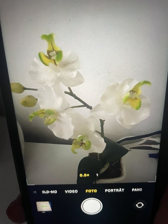 iPhone 11 - 256 GB schwarz (Gebraucht) in Stallikon für CHF 200 – mit Lieferung auf Ricardo kaufen