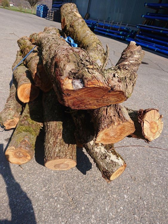 Apfel Holz Apfelbaum Stamm Holzäste | Kaufen auf Ricardo