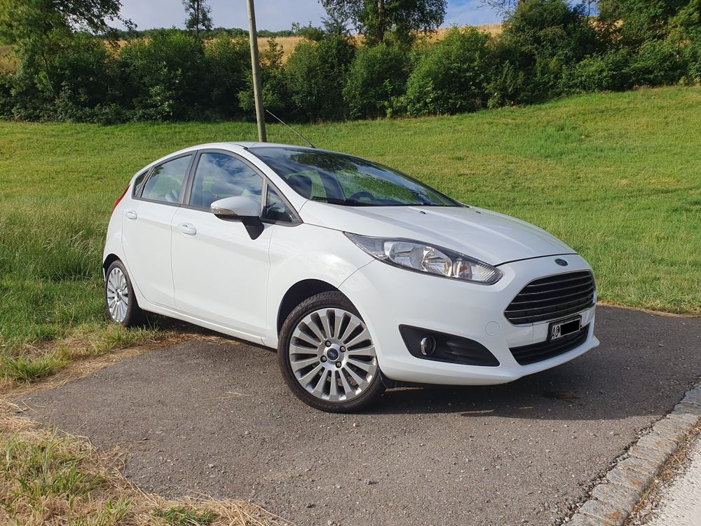 Ford Fiesta Reifengrsse