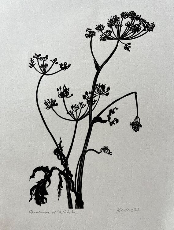 Heinz Keller (1928) Lithographie Handsigniert (Gebraucht) in Hochdorf für CHF 5 – mit Lieferung ...