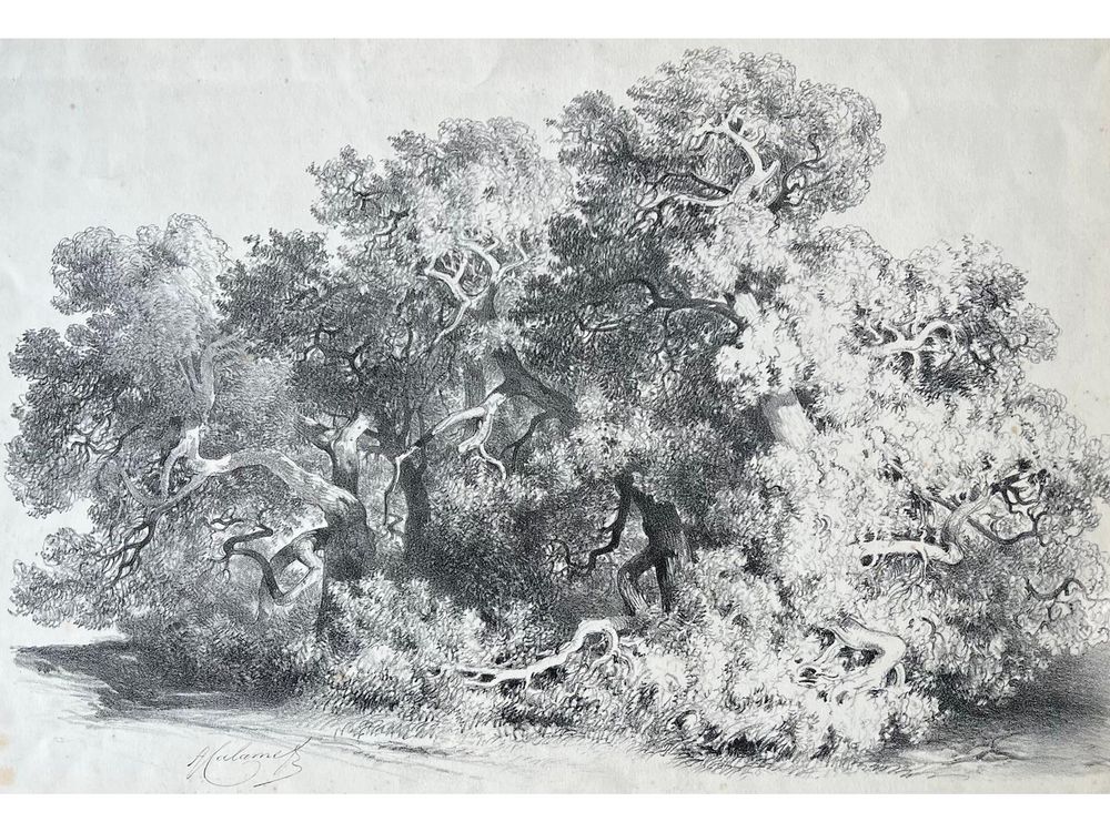 Alexandre Calame Lithographie 19.Jh. (Gebraucht) in Uster für CHF 15 ...