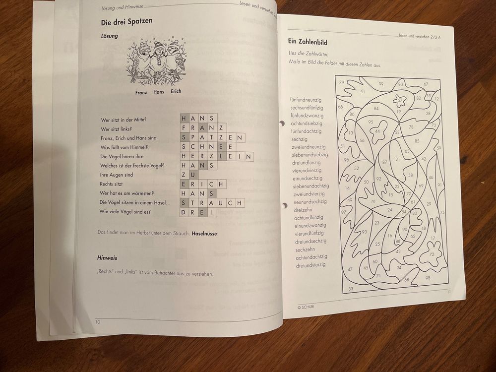 Lehrmittel schubi Lesen und verstehen 2./3.Klasse | Kaufen auf Ricardo
