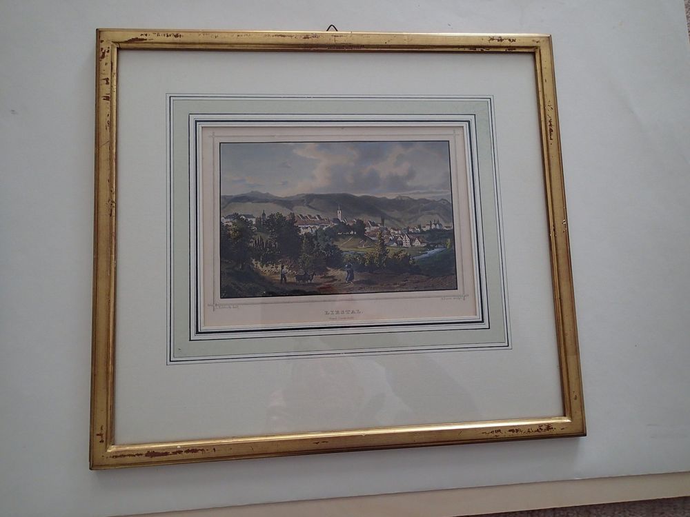 LIESTAL Stahlstich Rohbock (Gebraucht) in Allschwil für CHF 40 – mit ...