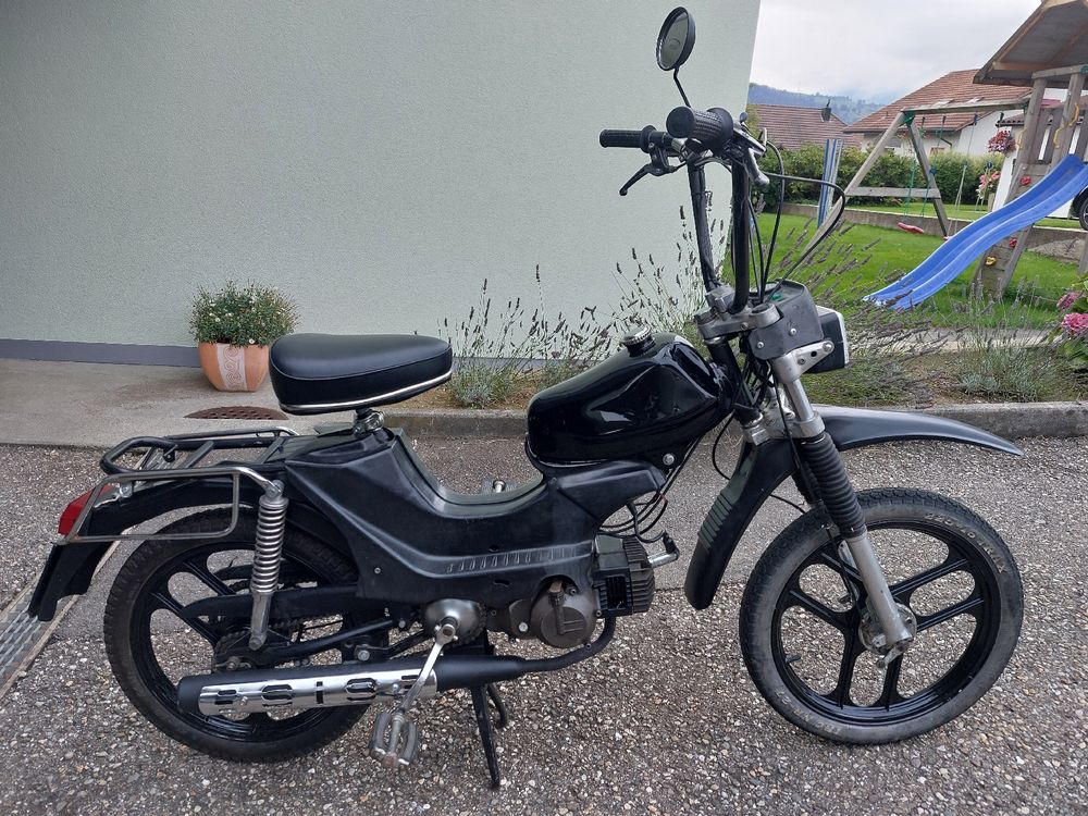Schwarzes Pony Cross | Kaufen auf Ricardo