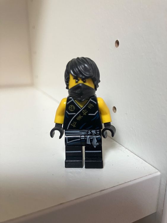 Lego Figurine Ninjago Cole Tournament of Elements Figur | Kaufen auf ...