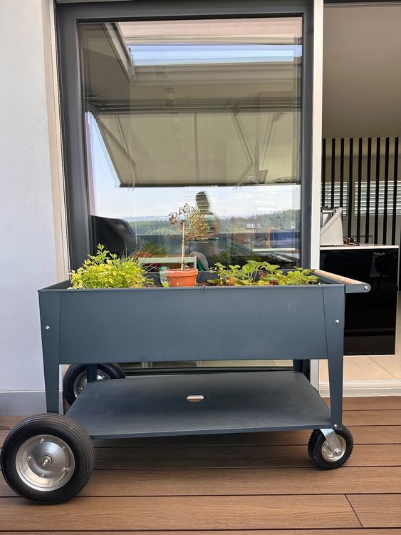 Hochbeet Herstera (Gebraucht) in Ittigen für CHF 110 – nur Abholung auf ...