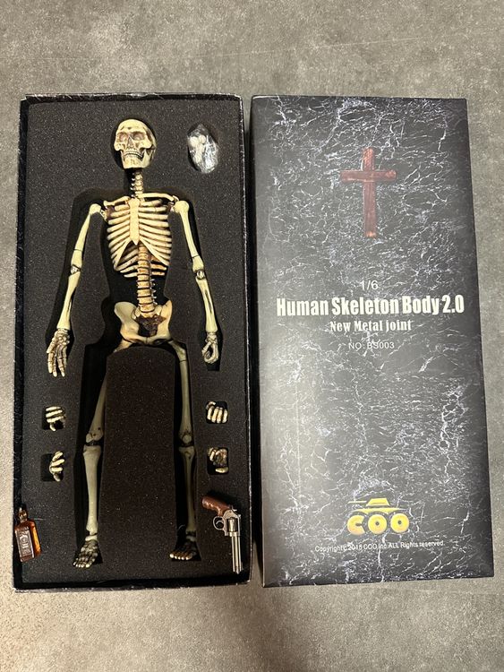 COO Human Skeleton Body 1/6 (Gebraucht) in Recherswil für CHF 22 – mit ...