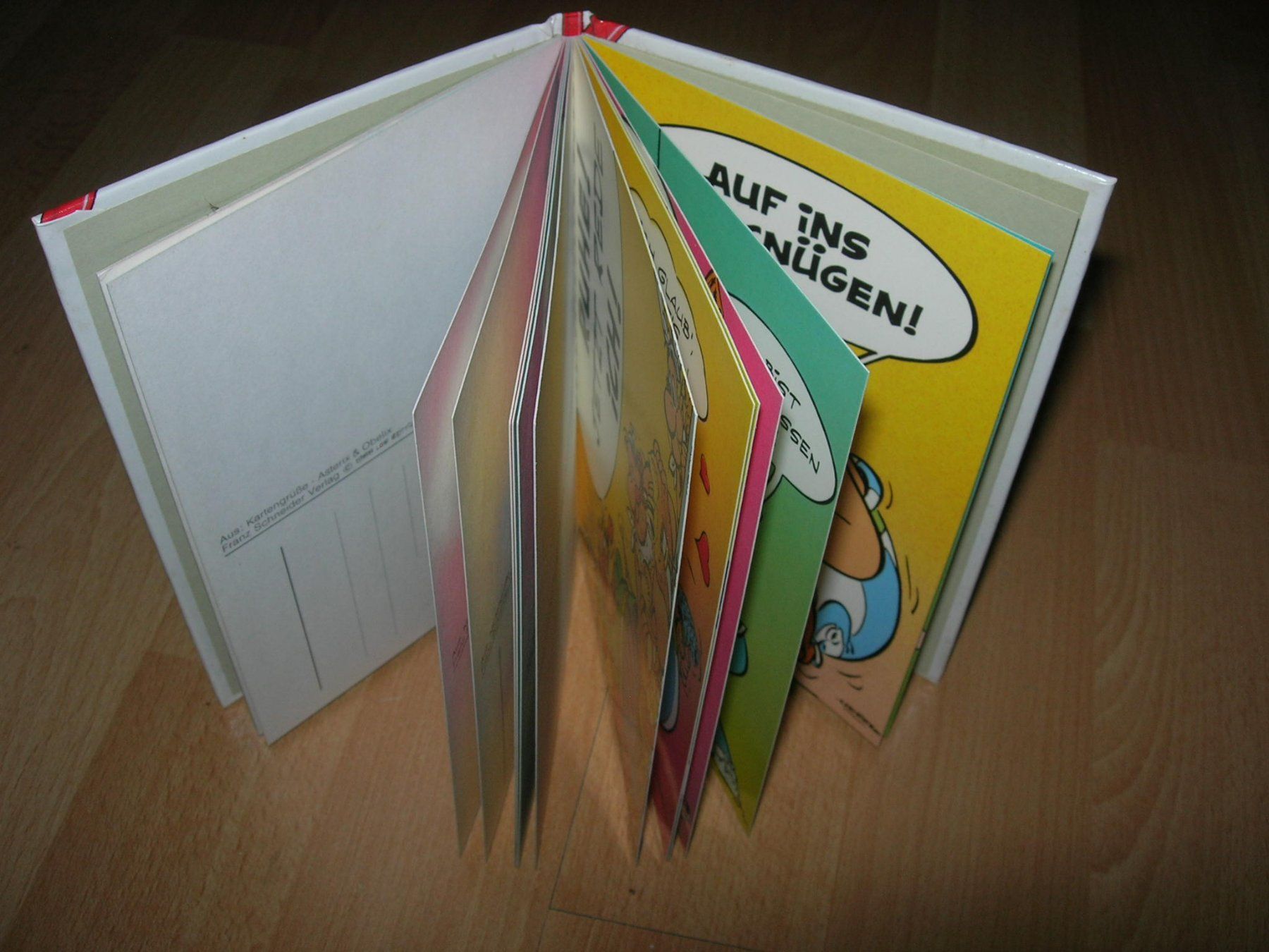 Asterix & Obelix Postkarten-Buch mit 16 Postkarten (Neu (gemäss ...