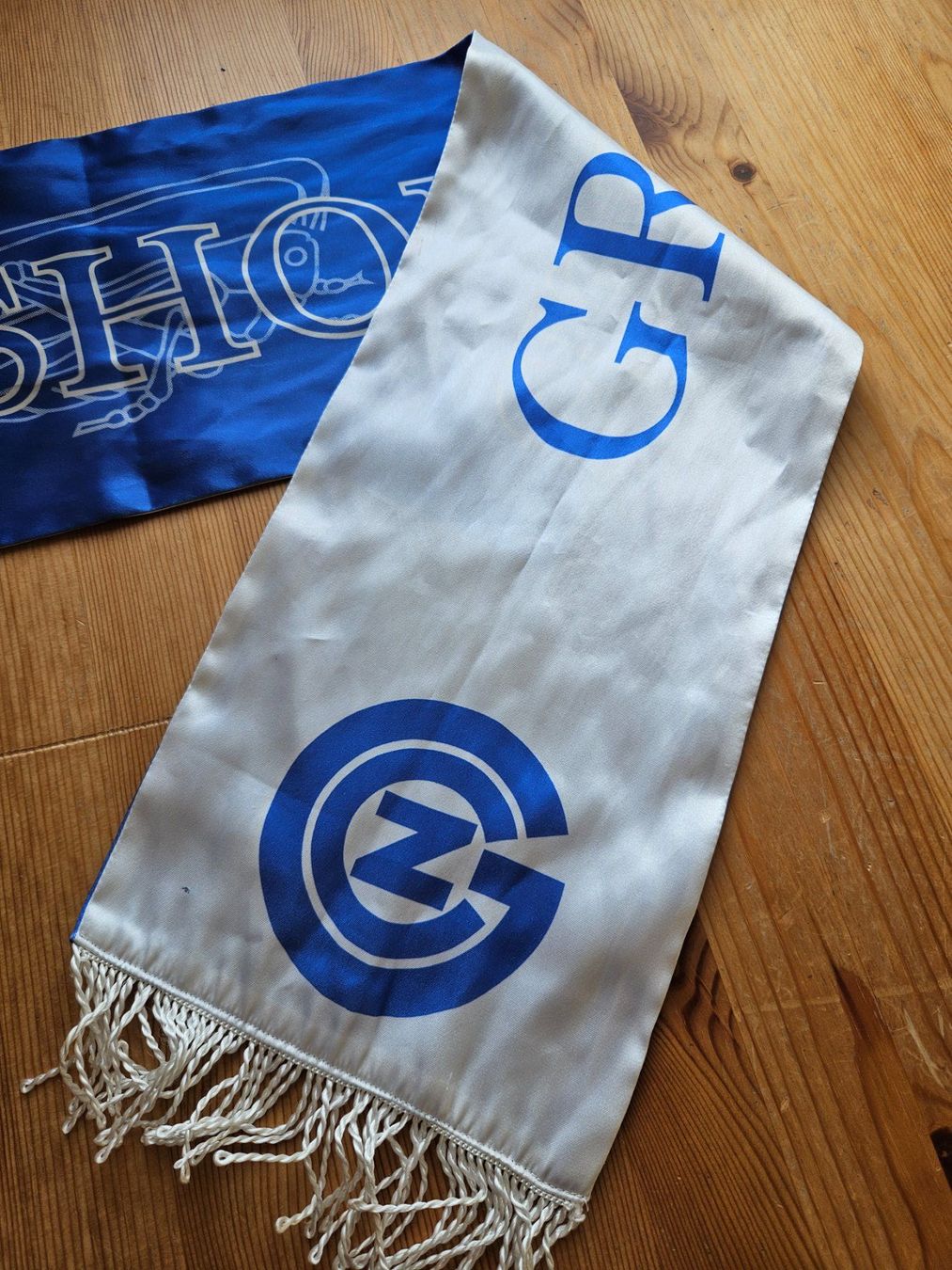 Grasshopper Club Zürich Schal GCZ GC Züri Fusball Fan (Gebraucht) in ...