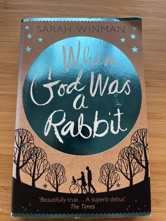Buch: When God Was a Rabbit - Sarah Winman | Kaufen auf Ricardo
