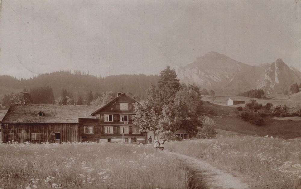 Wildhaus, Bauernhaus mit Scheune (Gebraucht) in Bronschhofen für CHF 29 – mit Lieferung auf ...