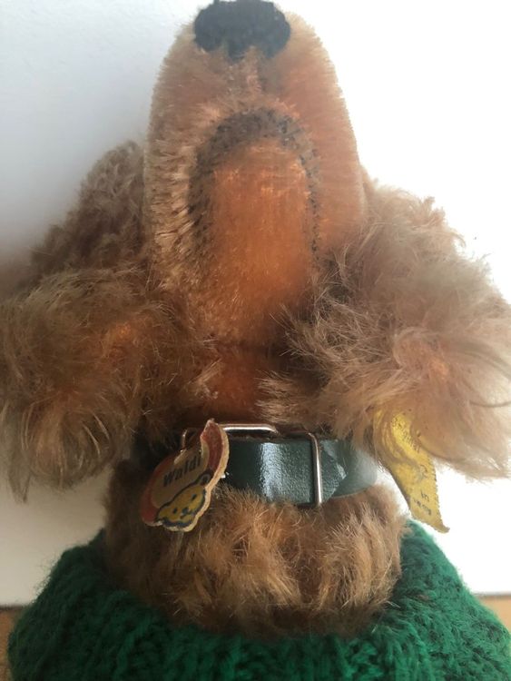 STEIFF Dackel Waldi Plüsch 🐕 Hund ORIGINAL & ANTIK (Gebraucht) in Scuol ...