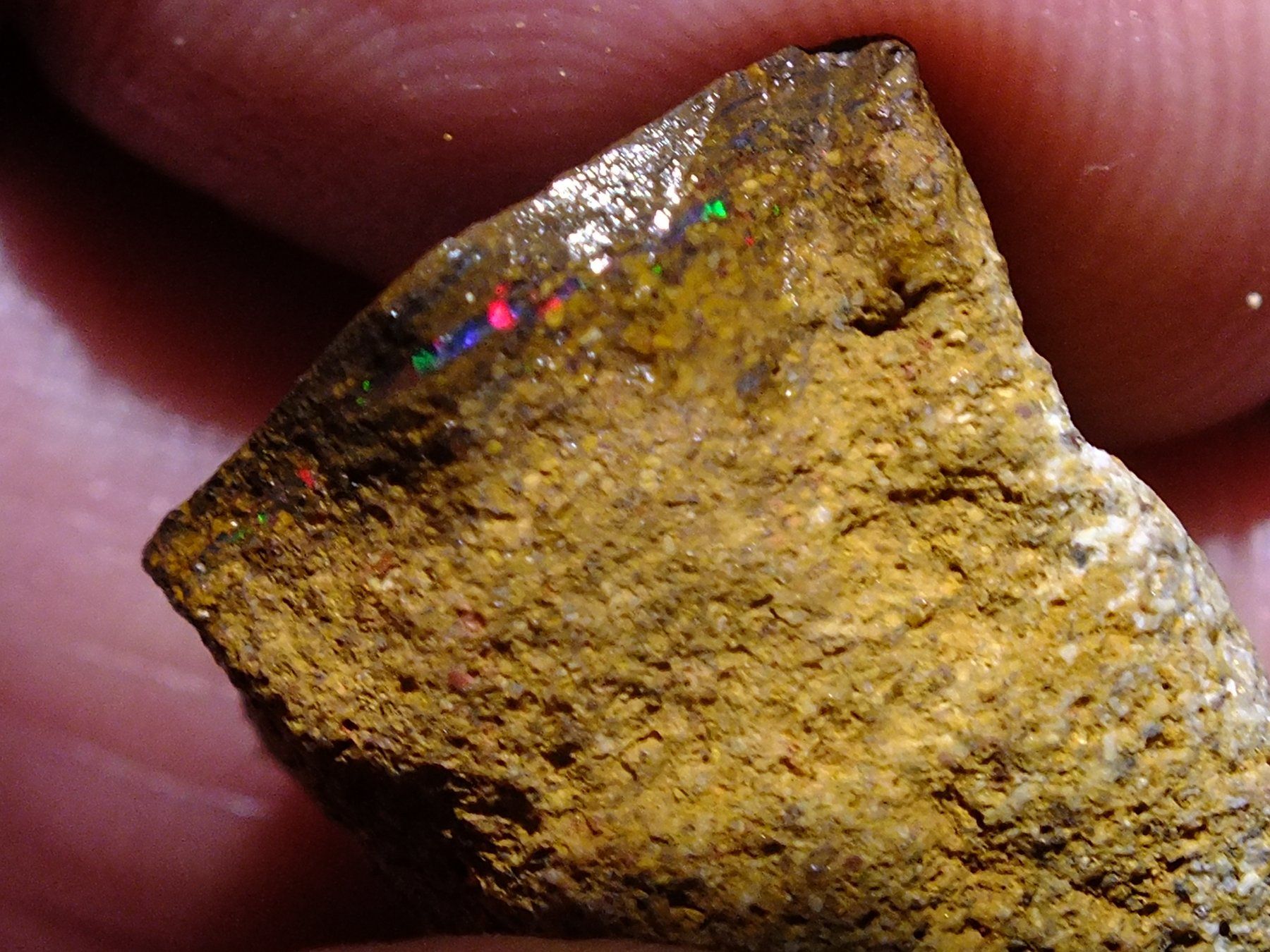 BOULDER ROH OPAL 23 Karat Gebot 1.- Elektrisch Rot Pin feuer (Neu und ...