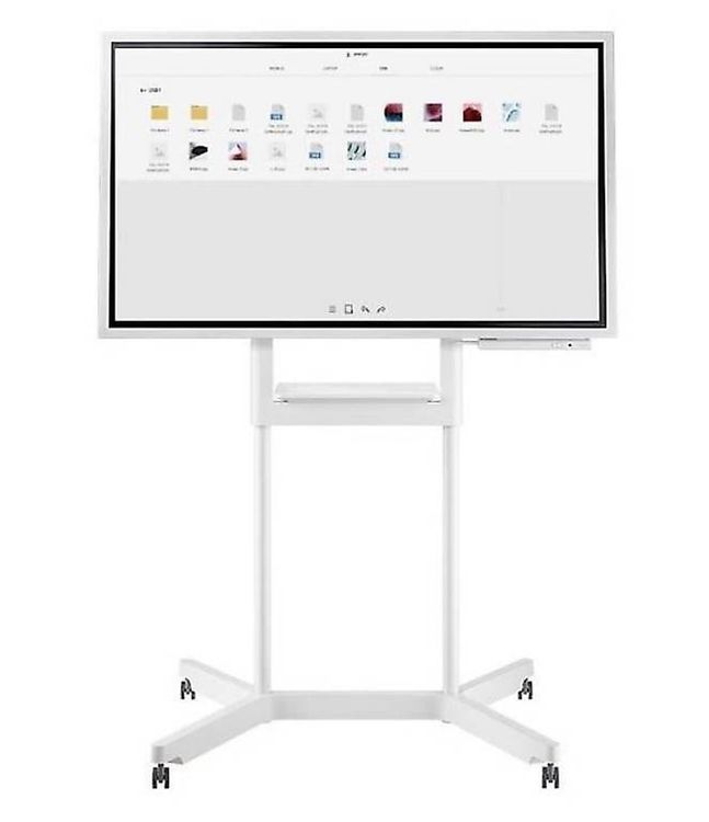 Samsung Flip WM55 55" Display Profi (Gebraucht) in Birmenstorf AG für ...