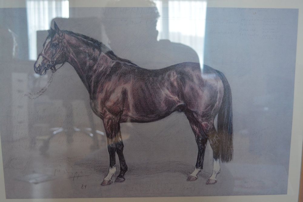 Klaus Philipp Pferdelitho Northern Dancer signiert 166/1000 (Gebraucht ...