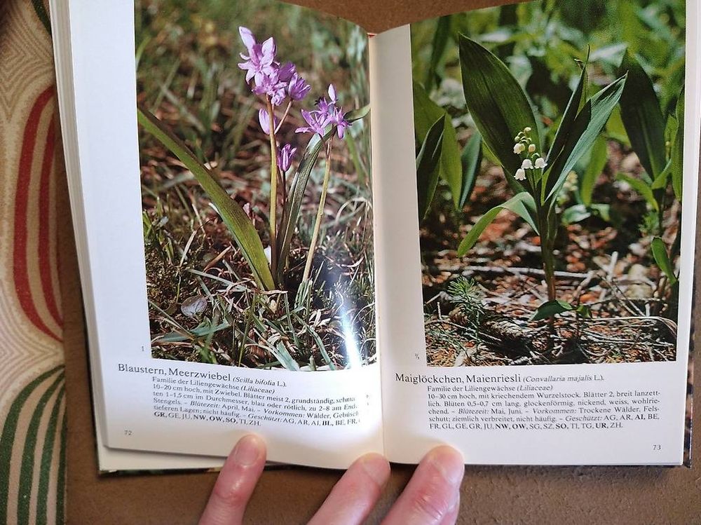 Geschützte Pflanzen in der Schweiz, Elias Landolt, SBN 1982 (Neu (gemäss Beschreibung)) in Olten ...