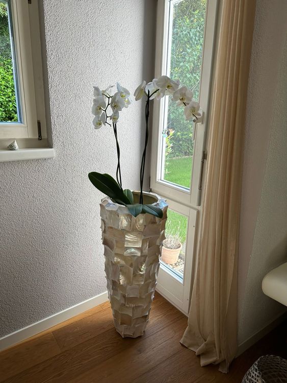 Bodenvase 90 cm (Gebraucht) in Tagelswangen für CHF 300 – nur Abholung ...