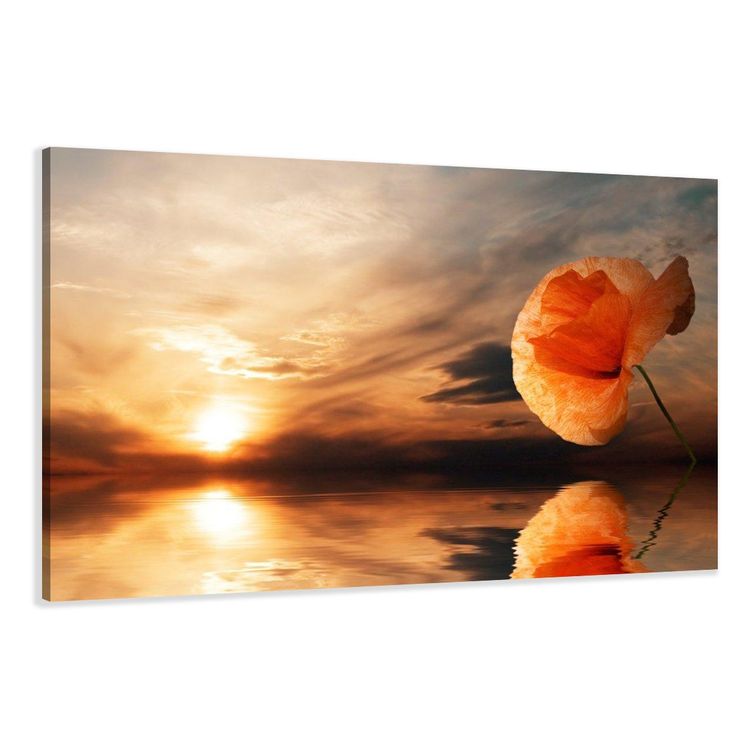 Leinwand 120x80cm Leinwandbild Bild Wandbild Blume Himmel 2D (Neu und originalverpackt) in ...