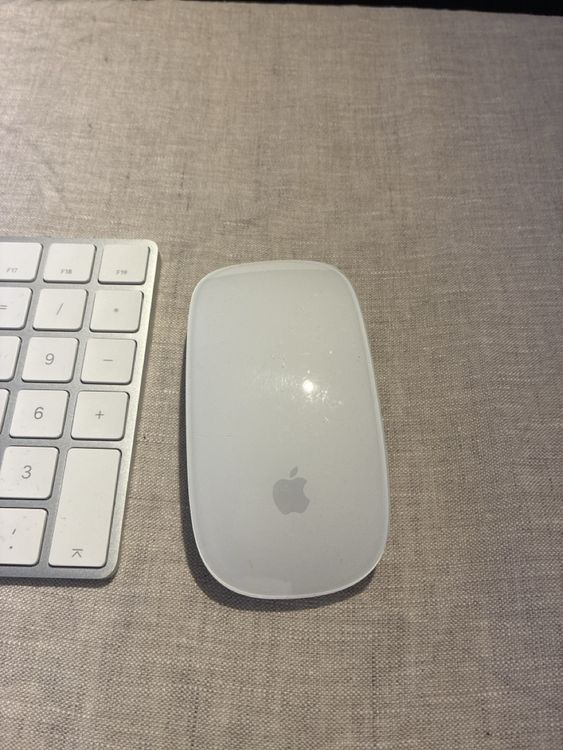 Apple Magic Mouse und Keyboard - Top Zustand! (Gebraucht) in Luzern für ...