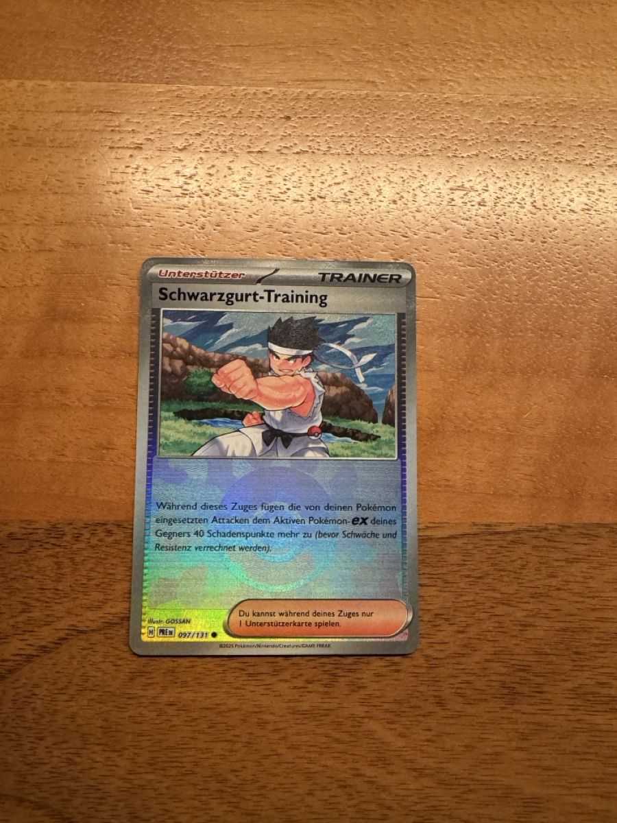 Pokemon PRE DE Schwarzgurt-Training 097/131 Pokeball (Neu (gemäss ...
