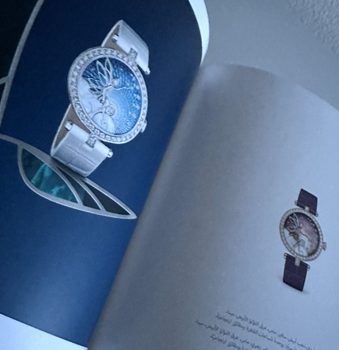 NEW Book Buch Van Cleef & Arpels Jewelry The Poetry of Time (Neu ...