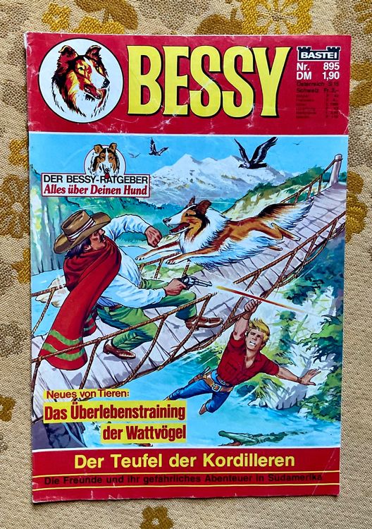Bessy Heft Nr 895 von 1983 ? (Gebraucht) in Endingen für CHF 1 – mit ...