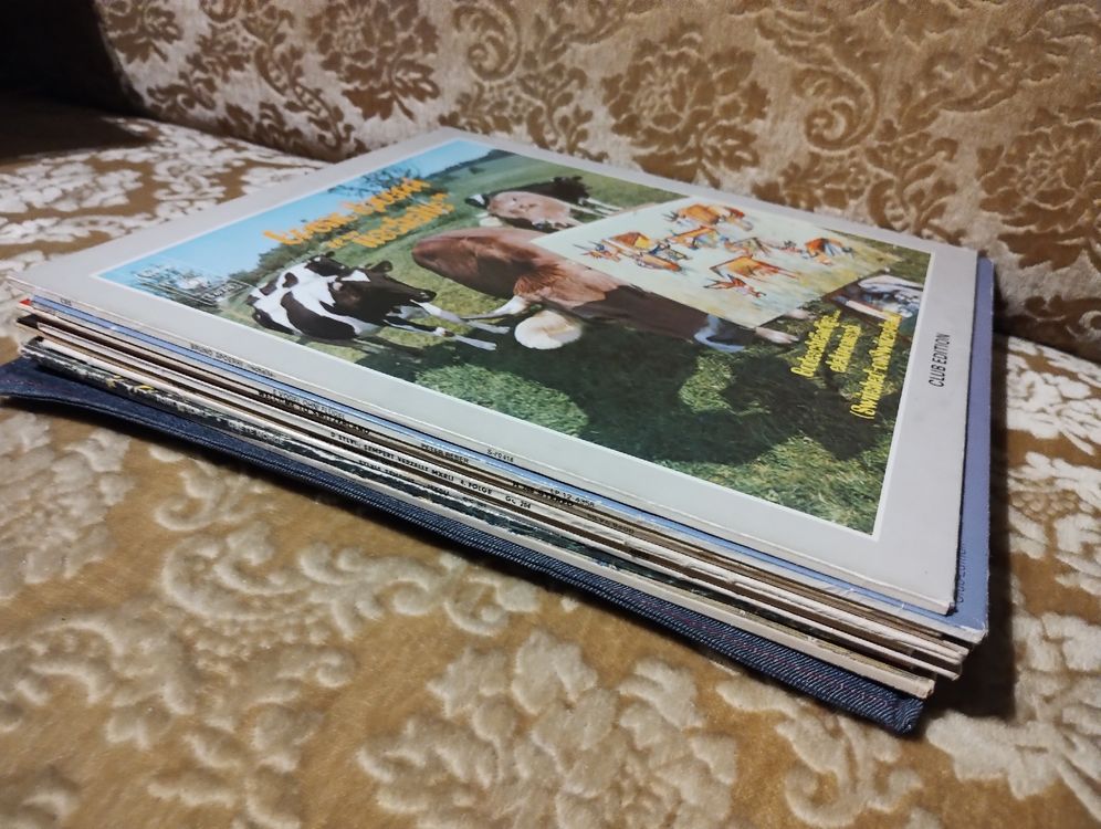 8x Schweizer Vinyl Record Schallplatten (Gebraucht) in Oetwil am See ...