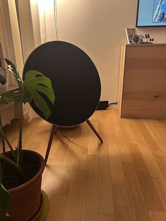 Tutti Inserat Bang & Olufsen Beoplay A9 (3. Generation) (Gebraucht) in ...