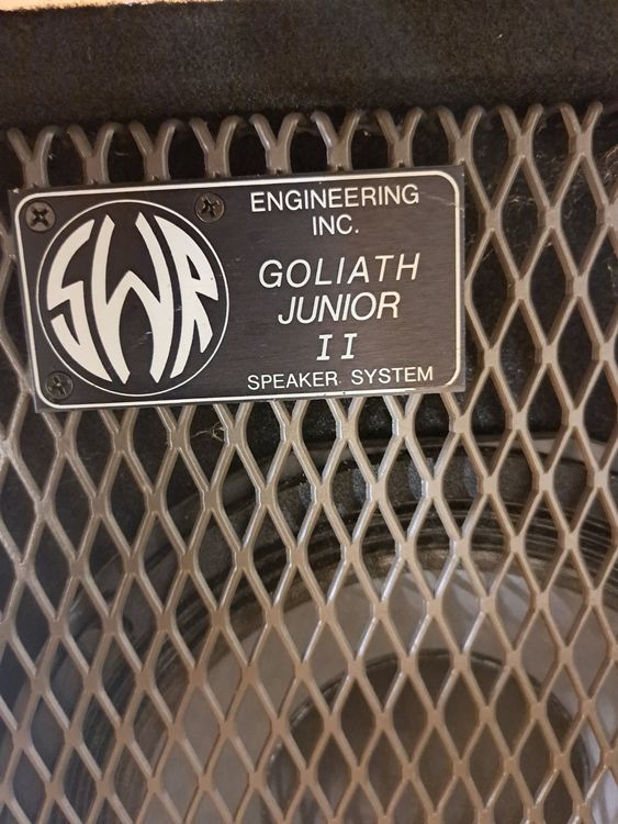 SWR Goliath II 2 x 10" Bassboxe | Kaufen auf Ricardo