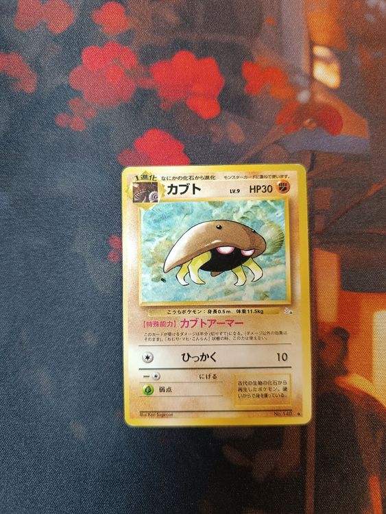 Kabuto No. 140 Fossil Set Jap. (Gebraucht) in Wettingen für CHF 2 – mit Lieferung auf Ricardo kaufen