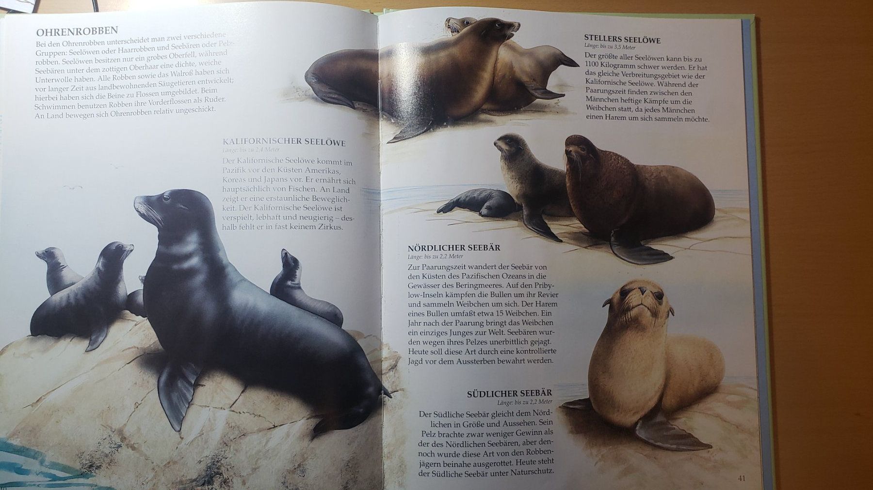 Die Welt der Haie und Wale und anderer Meeresbewohner (Gebraucht) in ...