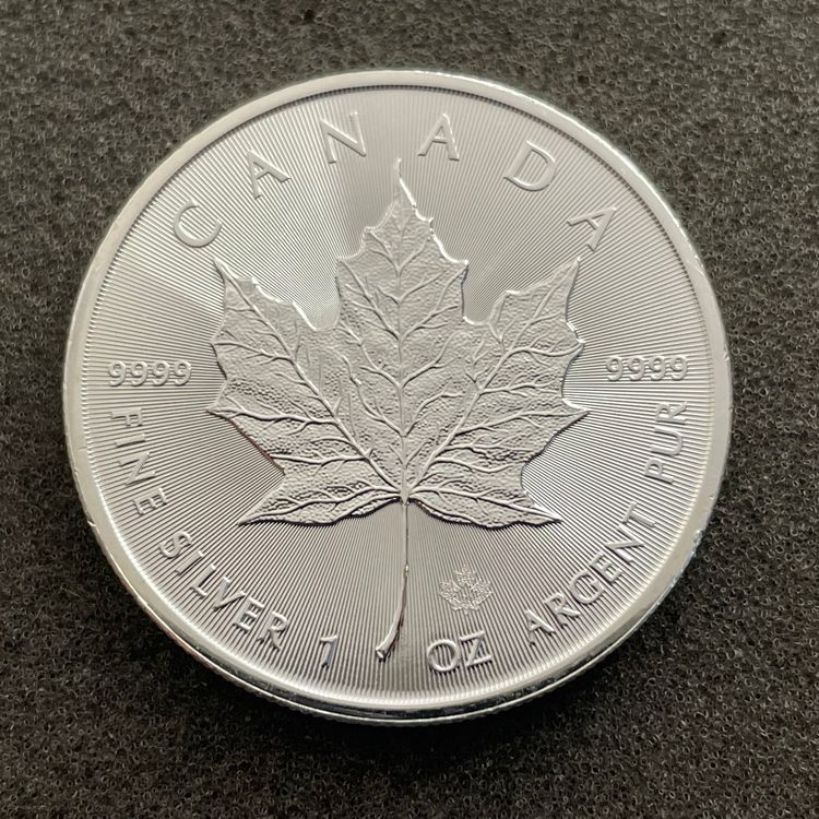 Maple Leaf Silber 1 Unze
