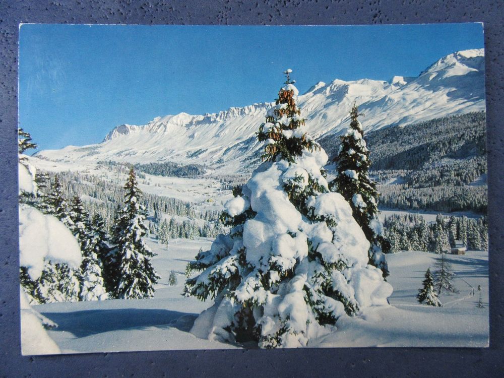 AK LENZERHEIDE VALBELLA SCHNEE WALD | Kaufen auf Ricardo