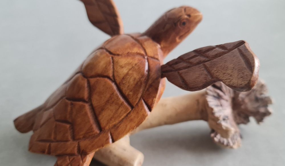 Meeresschildkröte / See Turtle aus Holz | Kaufen auf Ricardo