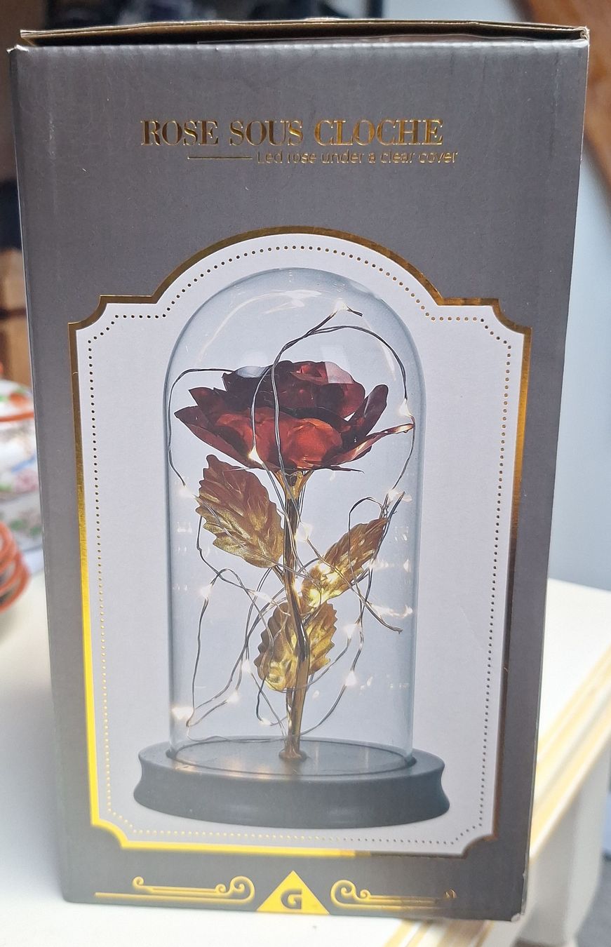 Rose sous cloche lumineuse - Déco romantique 🌹 (Neuf (Voir description ...