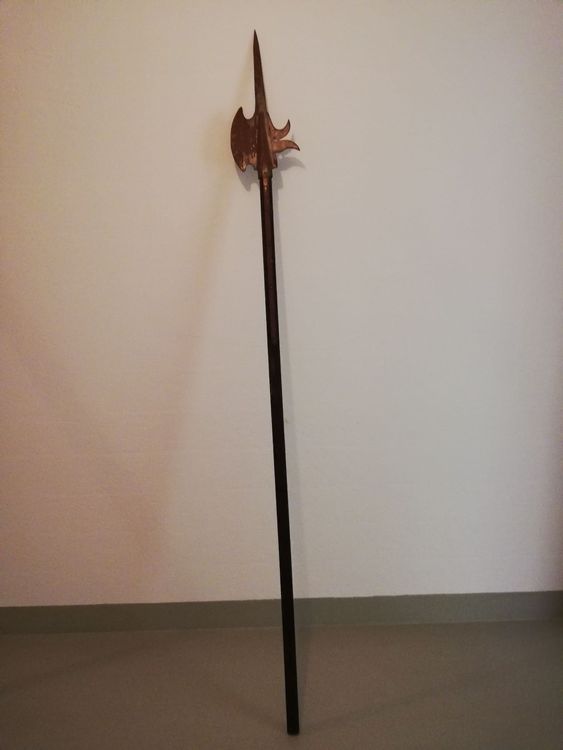 Hellebarde (Gebraucht) in Oftringen für CHF 60 – nur Abholung auf ...