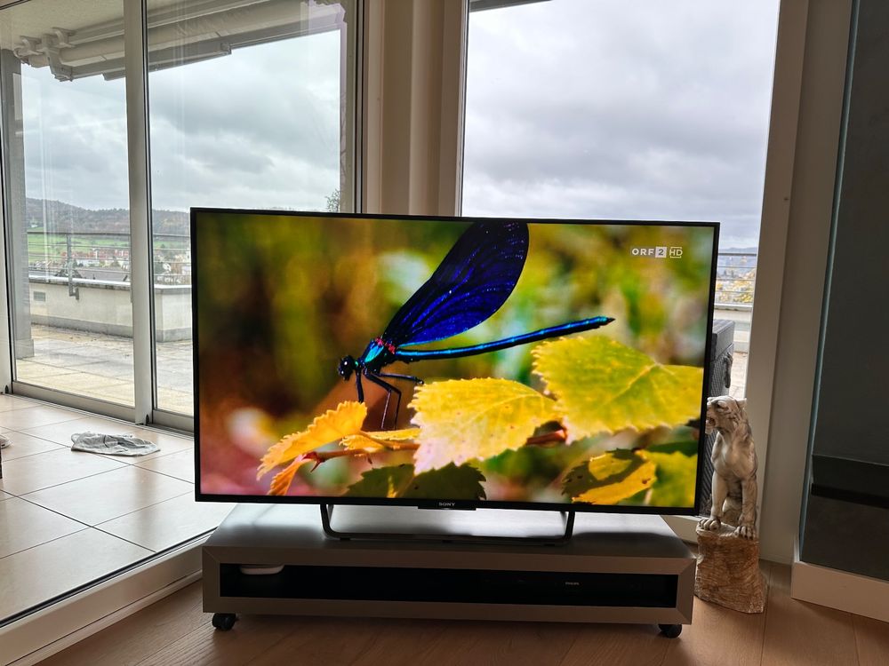 55“ TV Sony KD-55X8505C (55", LED) ab CHF 1.— | Kaufen auf Ricardo